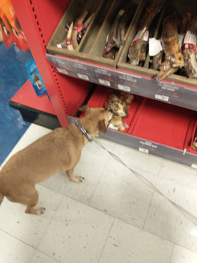 Pets R Inn - Ratings for Local Pet Rescue & Care Services: 4.0 & 505 ...