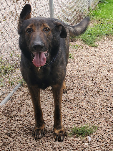 Shawano County Humane Society - Ratings for Local Pet Rescue & Care ...