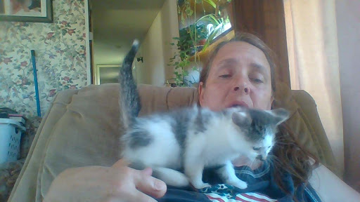 Rescue Pups Inc. - Ratings for Local Pet Rescue & Care Services: 4.6 ...