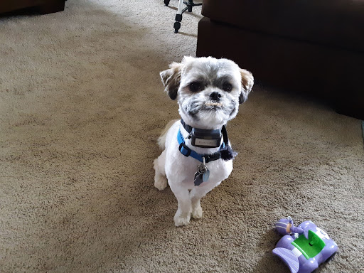 Pets R Inn - Ratings for Local Pet Rescue & Care Services: 4.0 & 505 ...