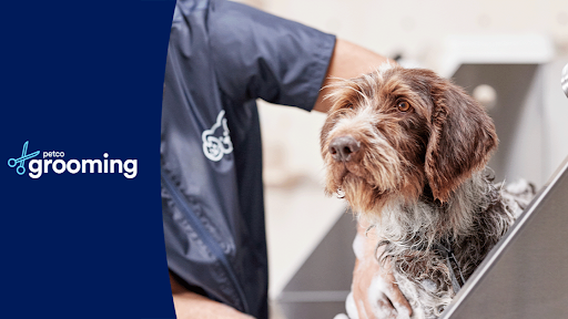 Perfect match pet shop - Ratings for Local Pet Rescue & Care Services ...