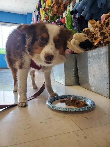 Pets R Inn - Ratings for Local Pet Rescue & Care Services: 4.0 & 505 ...